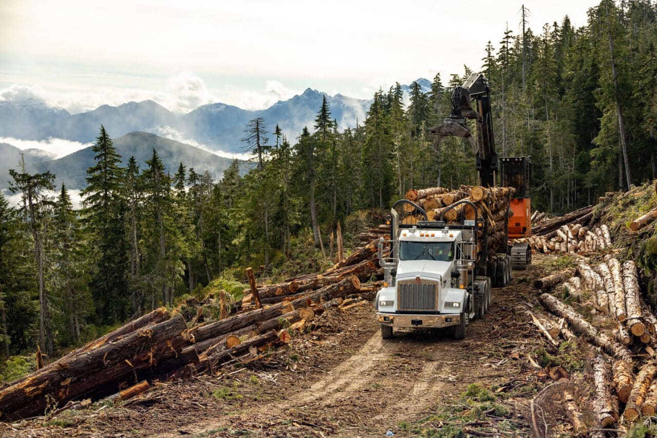 Home - Holbrook Dyson Logging