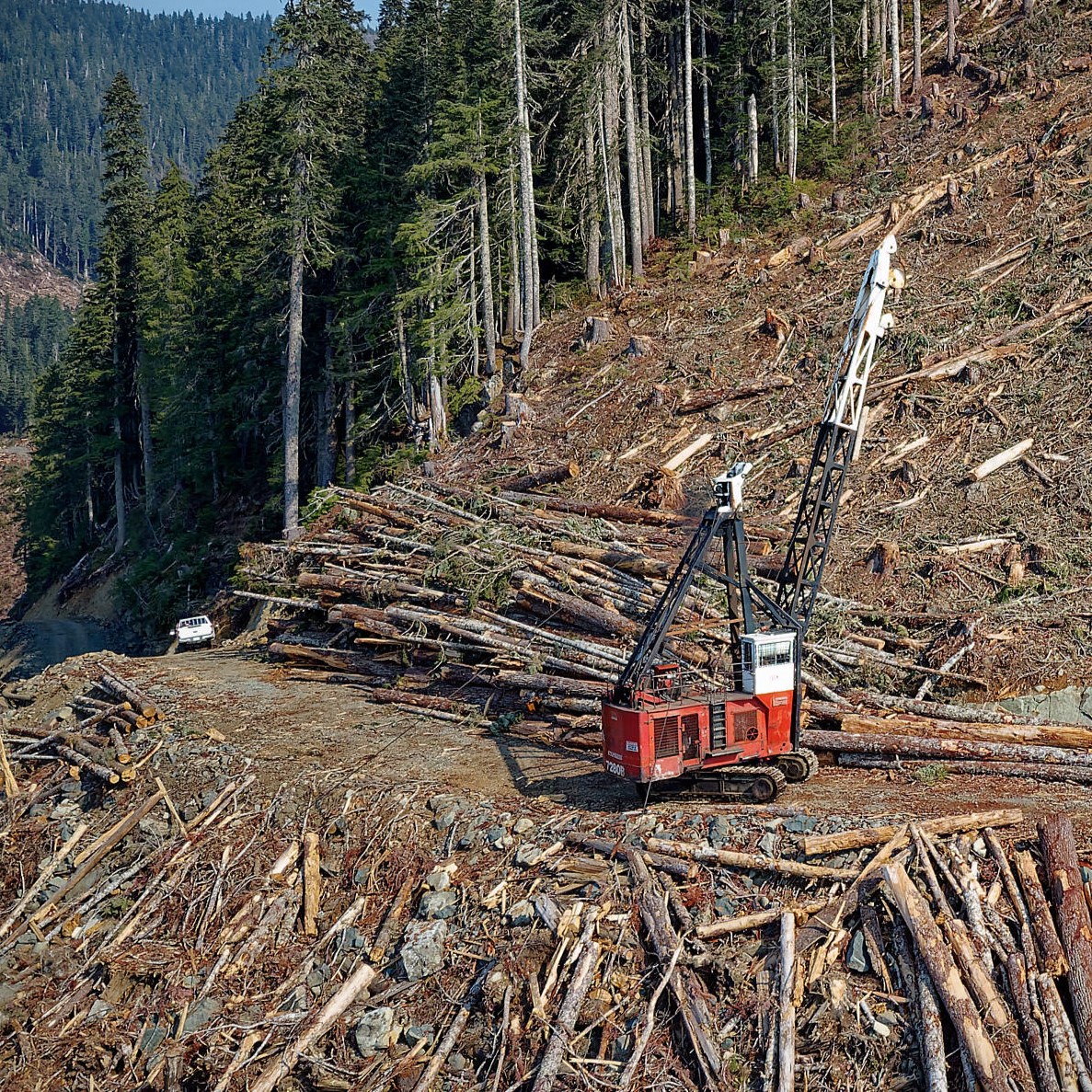 Grapple Yarder Operator - Holbrook Dyson Logging Grapple Yarder Operator - Holbrook Dyson Logging
